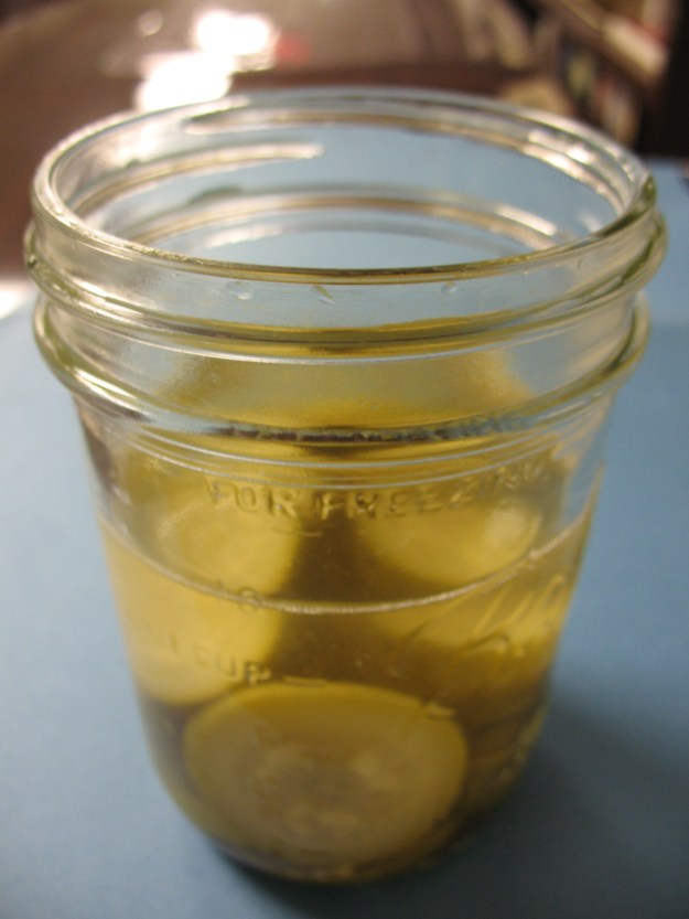 So long Summer Squash…see you this winter! | Preserving Food at Home