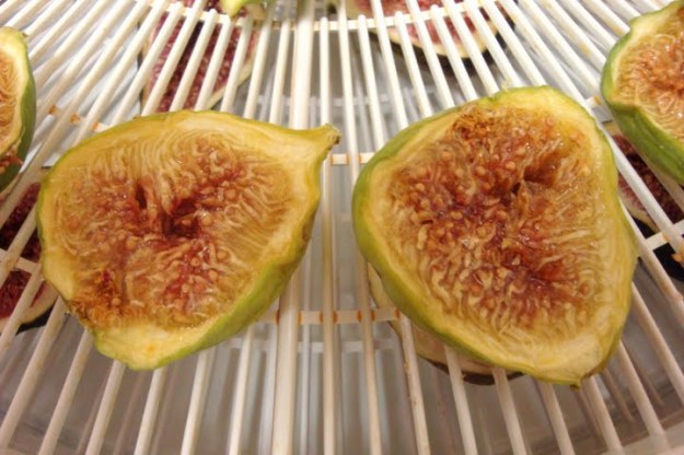 Preserving the Fickle Fig | Preserving Food at Home
