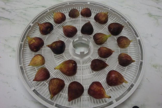 Preserving the Fickle Fig | Preserving Food at Home