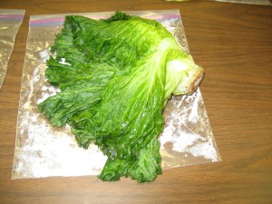 Fresh, Not Frozen | Preserving Food at Home