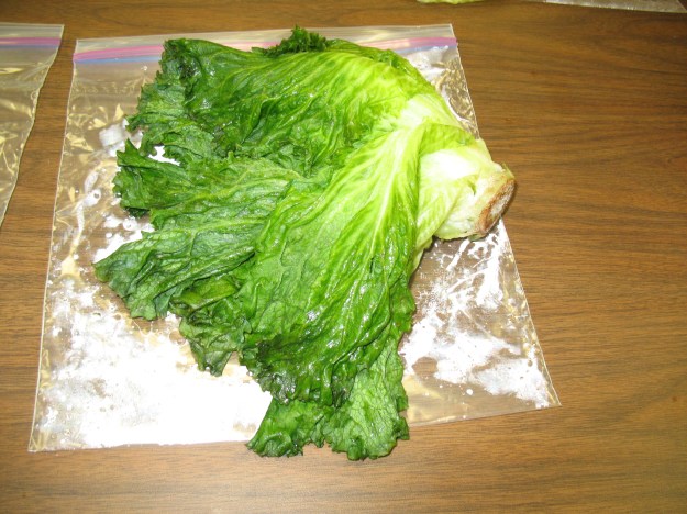 Fresh, Not Frozen | Preserving Food at Home