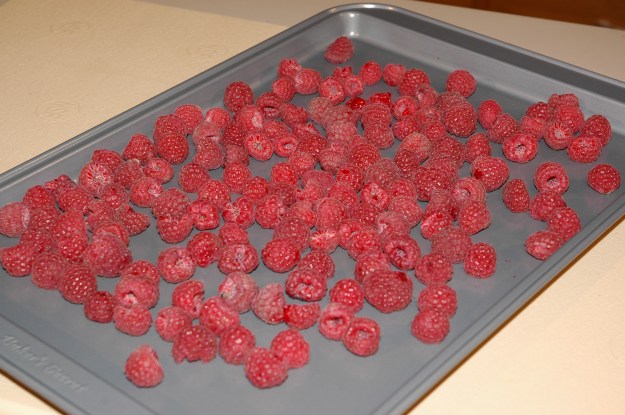 Preserving Food at Home | brought to you by the National Center for ...