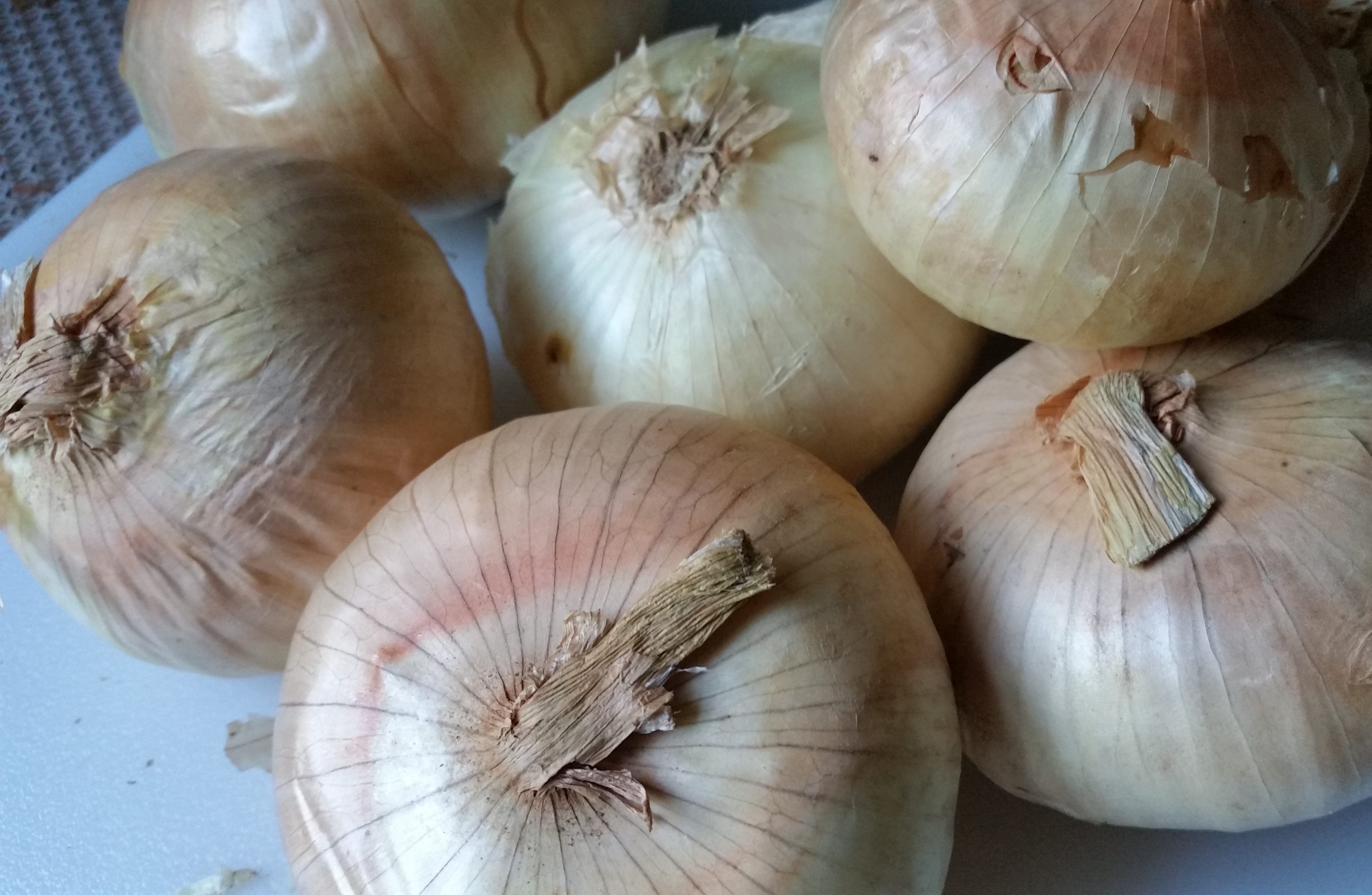 Preserving Food at Home | brought to you by the National Center for ...